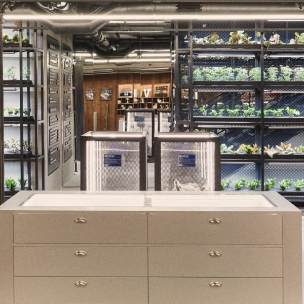 Lip Lab (Soho) - RetailX Intelligence